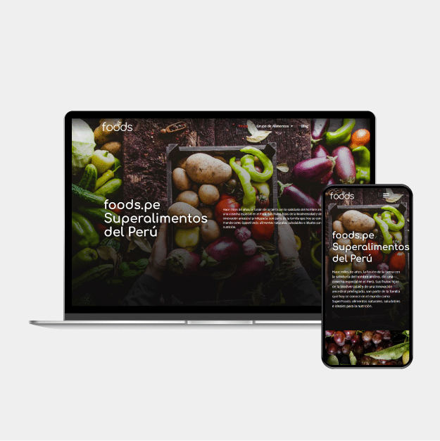 Caso de Éxito: Landing Page para Foods - KOM Agencia Digital - Lima - Perú